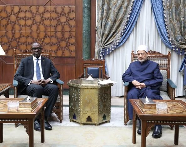 The Minister of Foreign Affairs of Mali Presents an Official Invitation ...